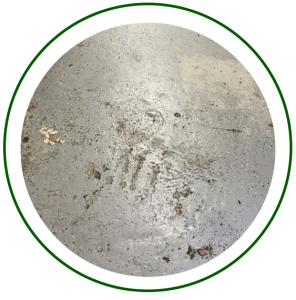 Long-Lasting Epoxy Floors | Everlast Epoxy Systems