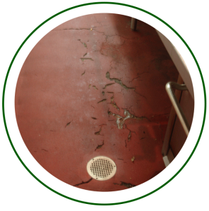 Long-Lasting Epoxy Floors | Everlast Epoxy Systems
